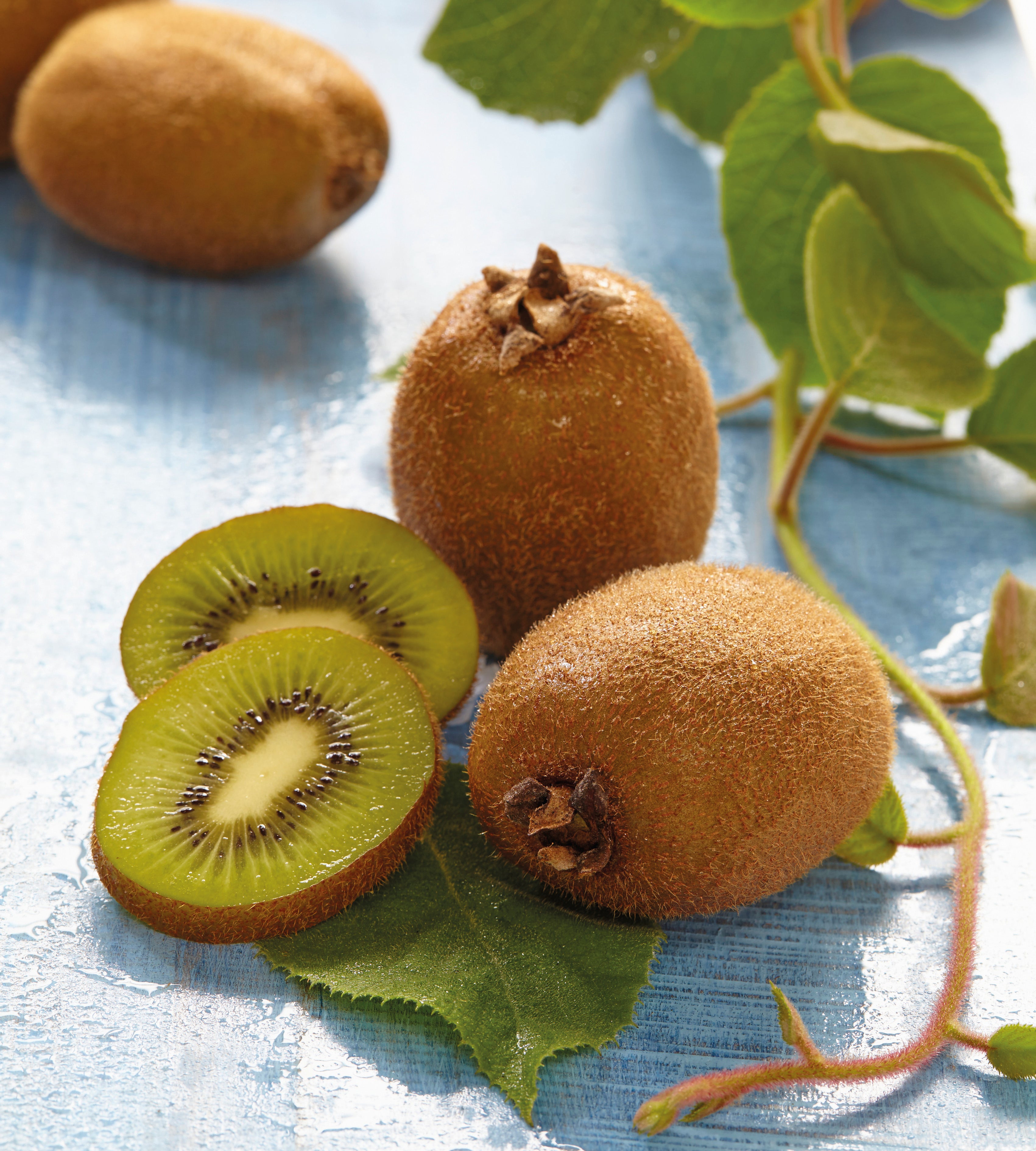 Kiivi ’Jenny’ – Puutarha.com