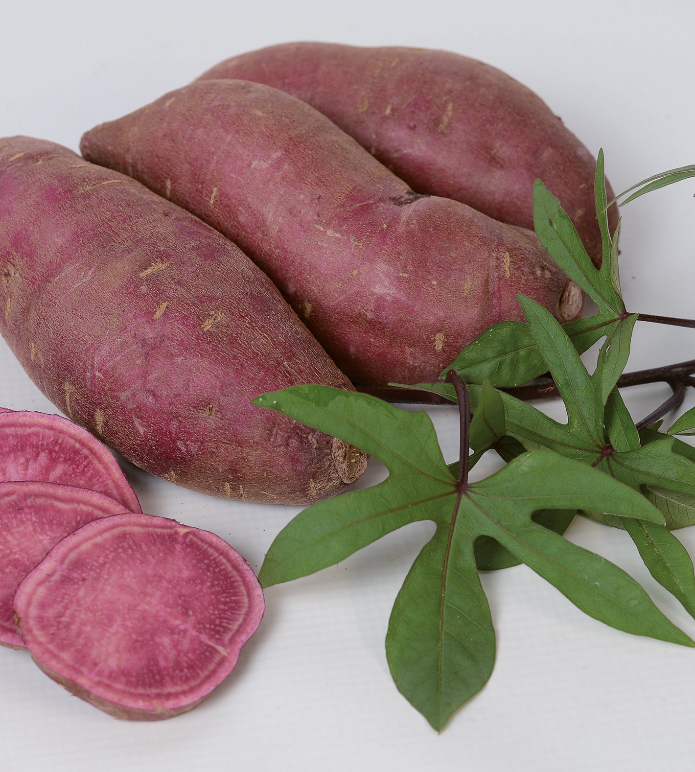 Bataatti ’Tahiti’ 3 kpl – Puutarha.com